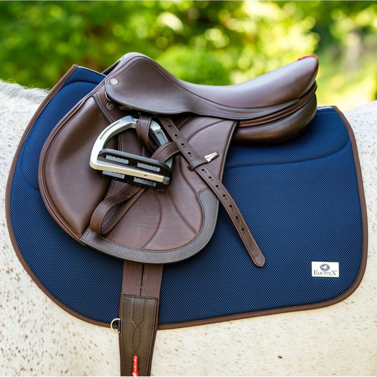 The number 1 saddle pad for your horse's back, 288,00
